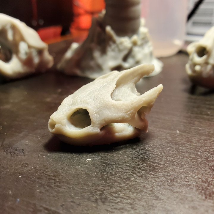 3D Printable Snapping Turtle Skull by Jeremy