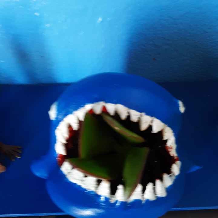 3D Printable shark pot by aydin