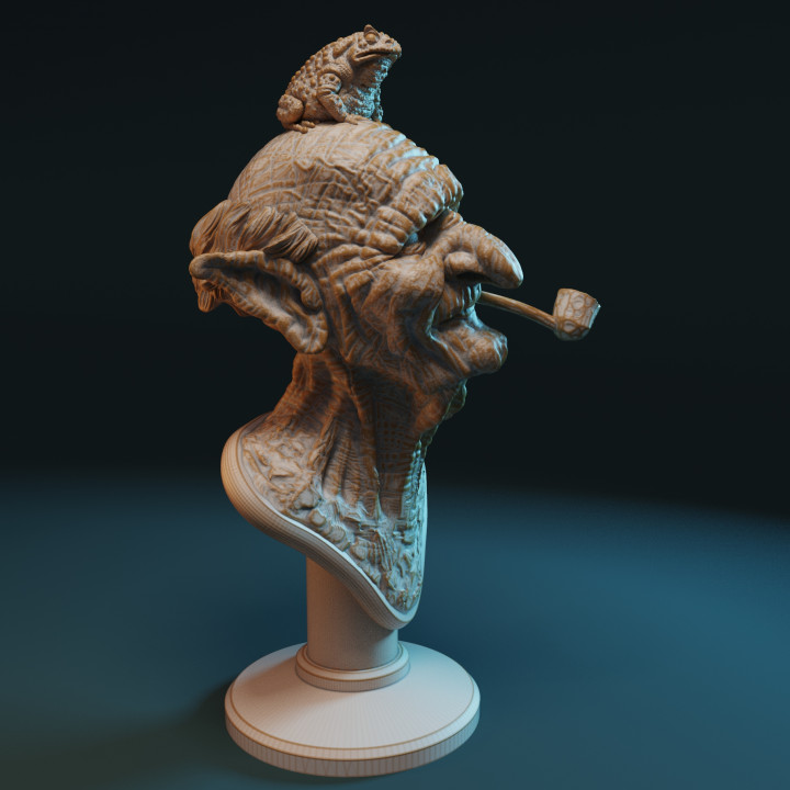 3D Printable Toadmaster bust by Claydemon Miniatures