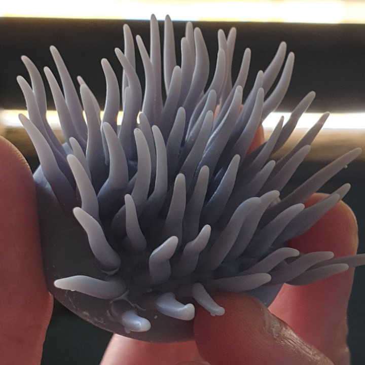 3D Printable Anemone 2 by Gothic Things