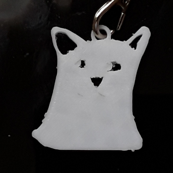 3D Printable cat key chain by Andrey Goshkaderov`