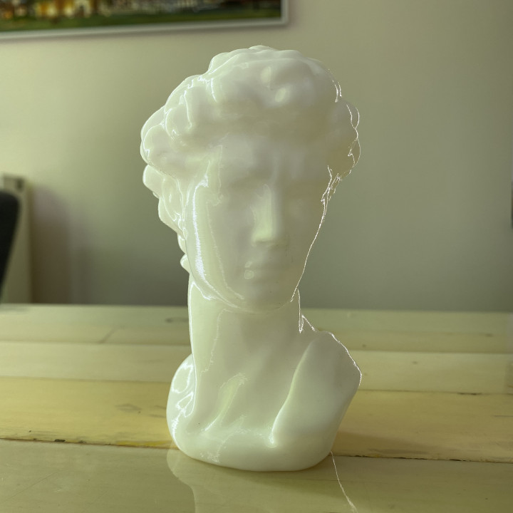 3D Printable David Remesh by Y.F.I. vd Heiligenberg