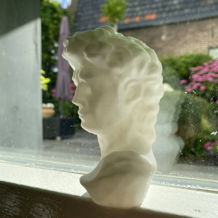 3D Printable David Remesh by Y.F.I. vd Heiligenberg