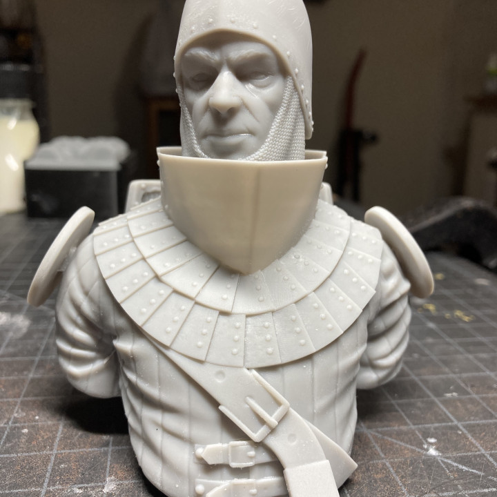 3D Print of Medieval Bust by shortbusdriver