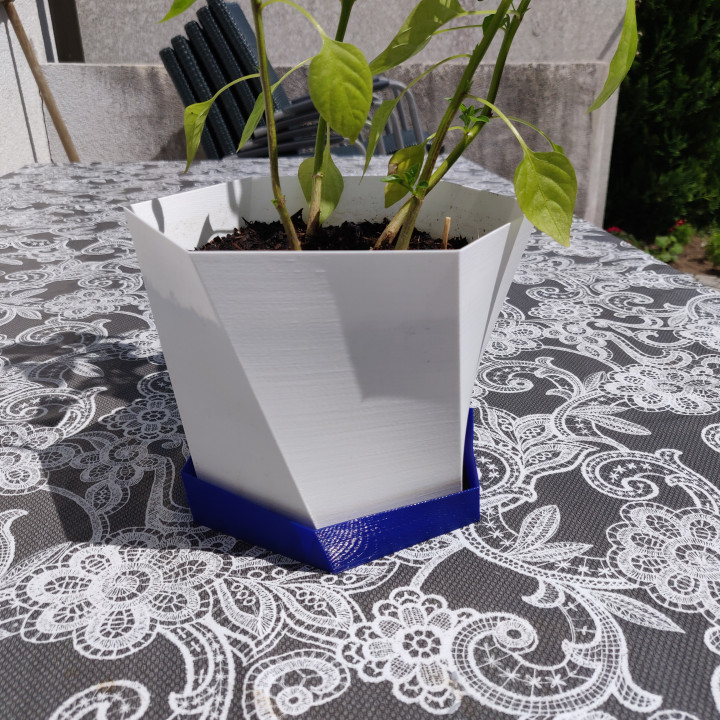 3D Printable Hexagon Flower Pots with Saucer by Mentum
