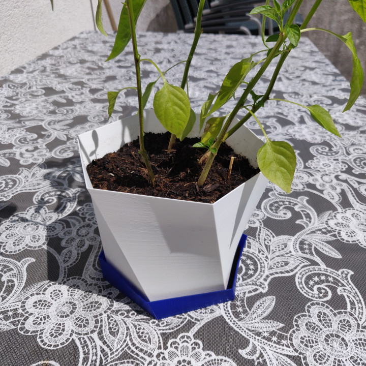 3D Printable Hexagon Flower Pots with Saucer by Mentum