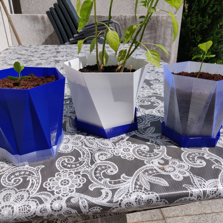 3D Printable Hexagon Flower Pots with Saucer by Mentum