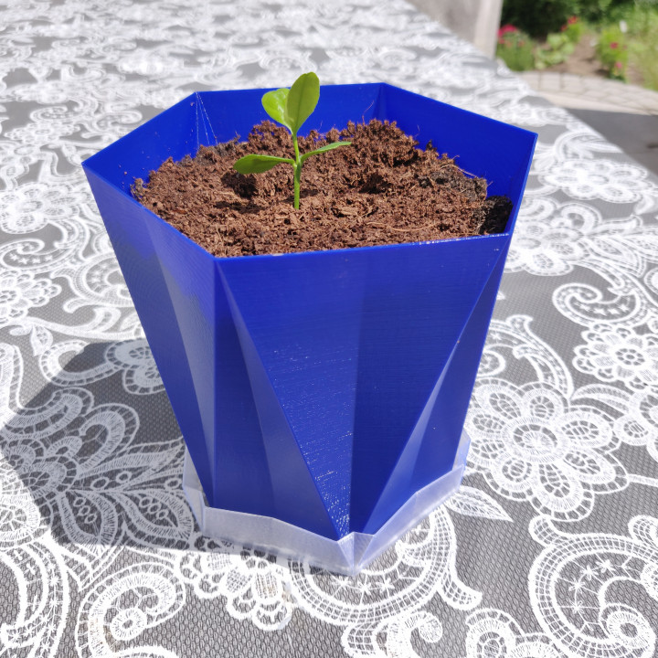 3D Printable Hexagon Flower Pots with Saucer by Mentum