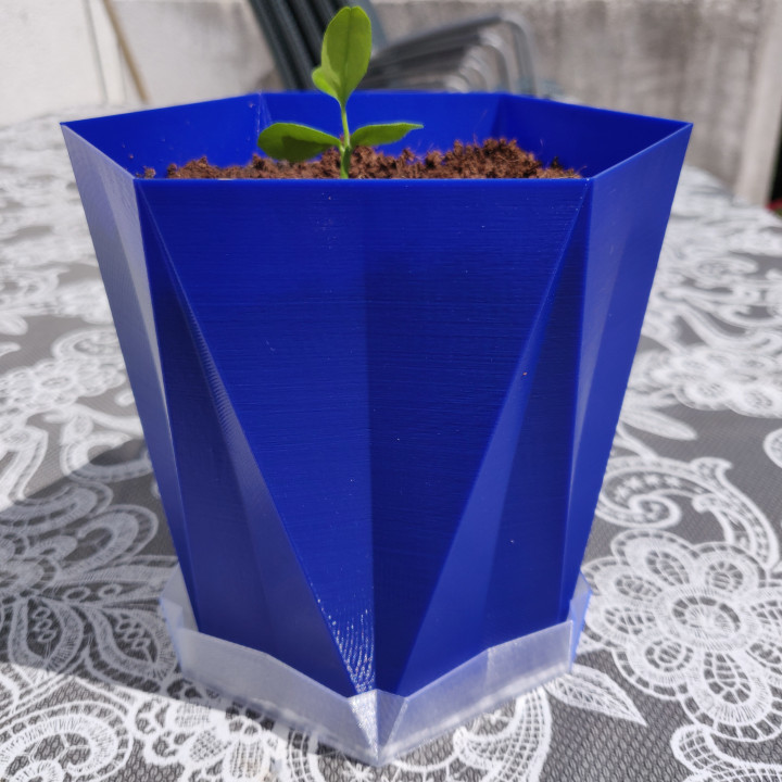 3D Printable Hexagon Flower Pots with Saucer by Mentum