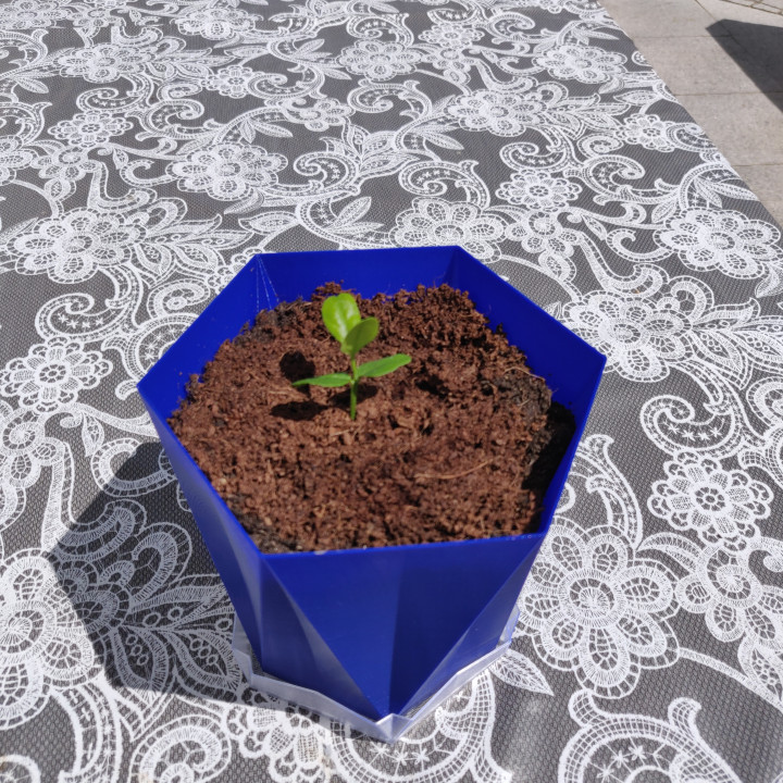 3D Printable Hexagon Flower Pots with Saucer by Mentum
