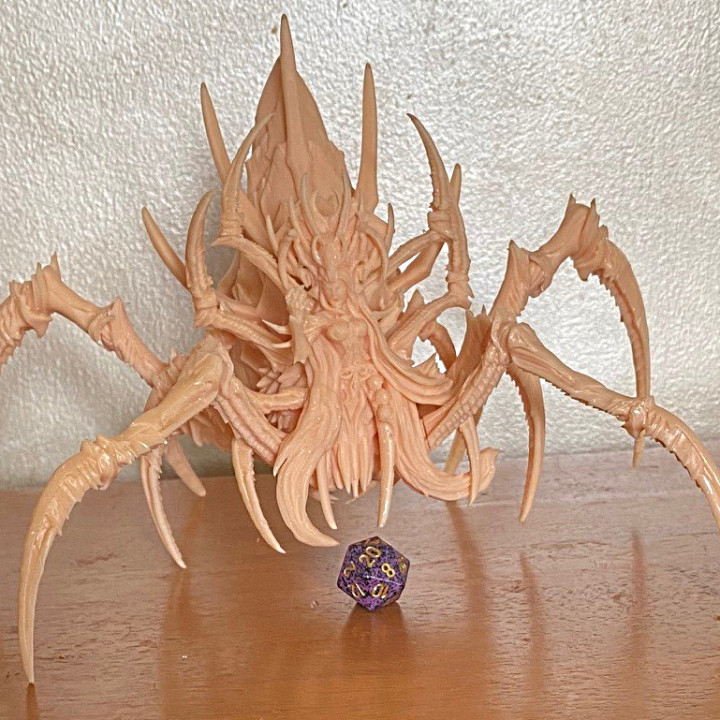 3D Print of Great Spider Goddess by ericbilello