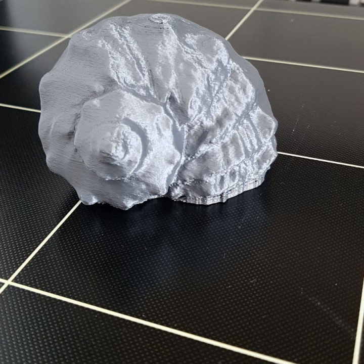 3D Printable The ultimate seashell by 《scew