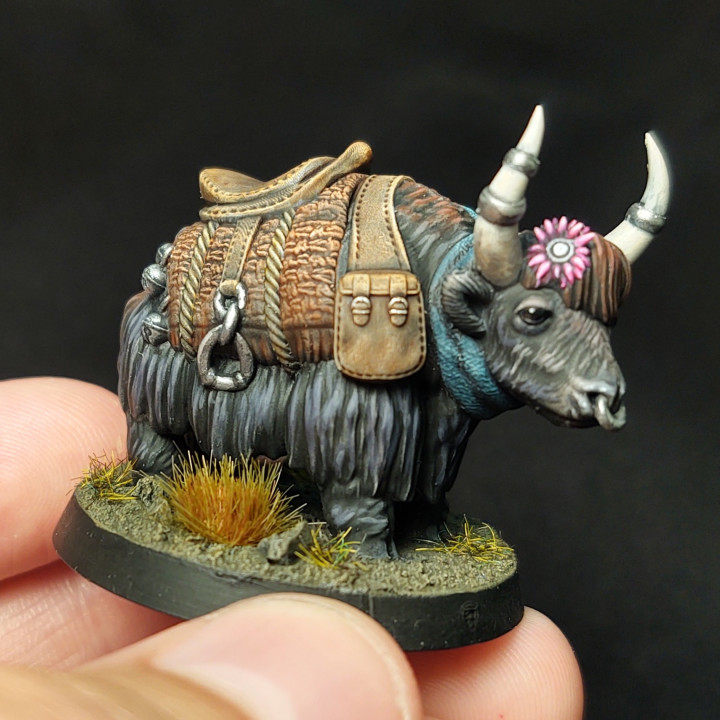 3D Print of Yak Mount by dgscott