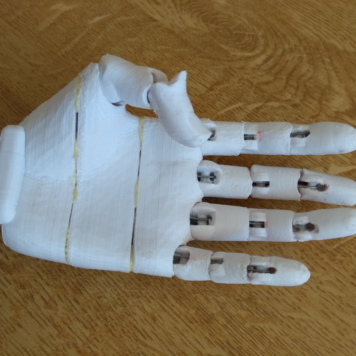 3D Printable Sophie Left Hand by Eddy