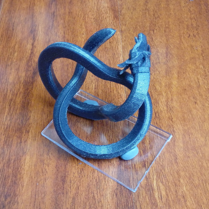 3D Printable Torus knot dragon - low poly by Justin Lin