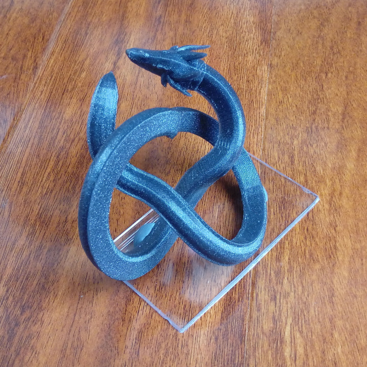 3D Printable Torus knot dragon - low poly by Justin Lin