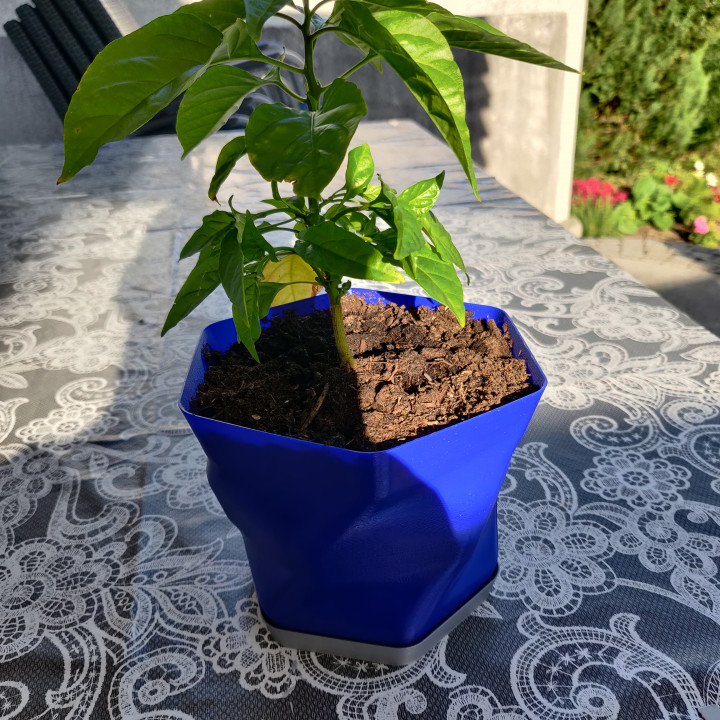 3D Printable Round Hexagon Flower Pots with Saucer by Mentum