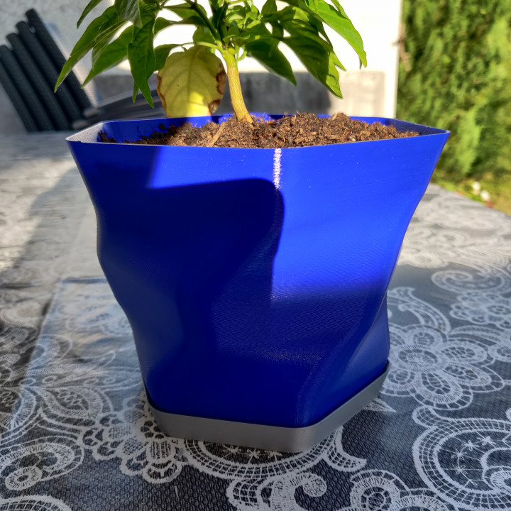 3D Printable Round Hexagon Flower Pots with Saucer by Mentum