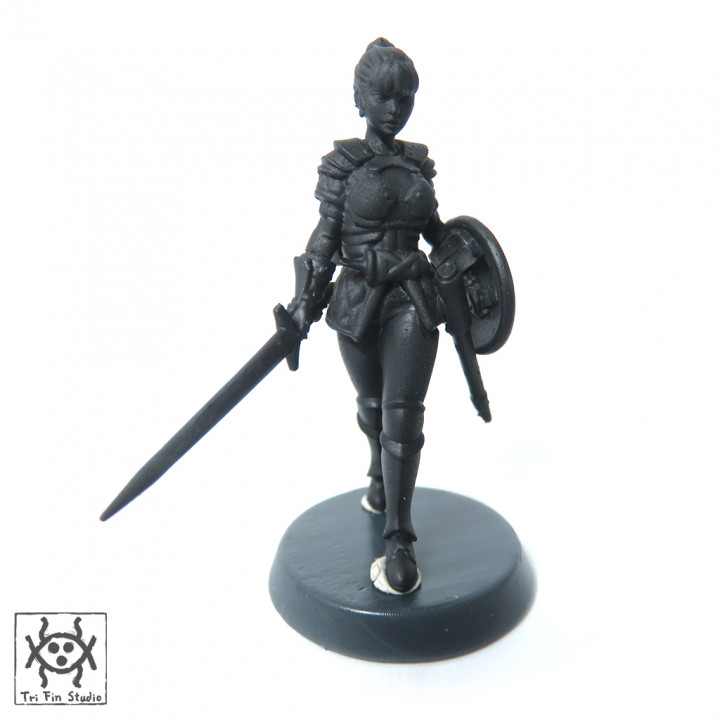 3D Printable Adventurer - Female Fighter by Tri Fin Studio