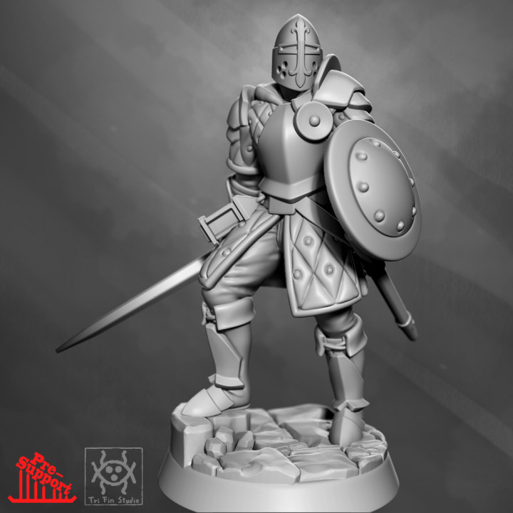 3D Printable Adventurer - Male Fighter by Tri Fin Studio