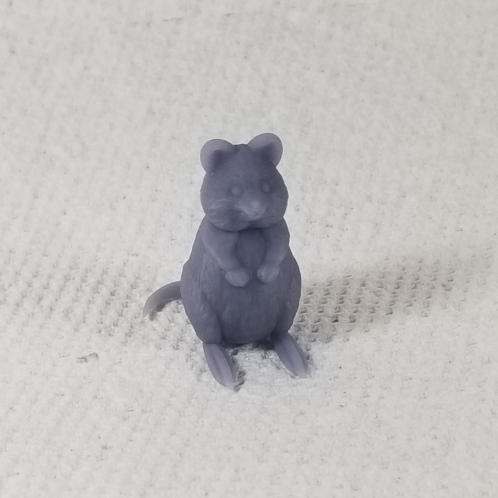 3D Printable Quokka by Clay Rade