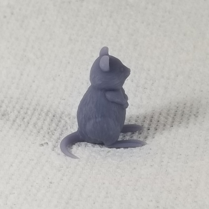 3D Printable Quokka by Clay Rade