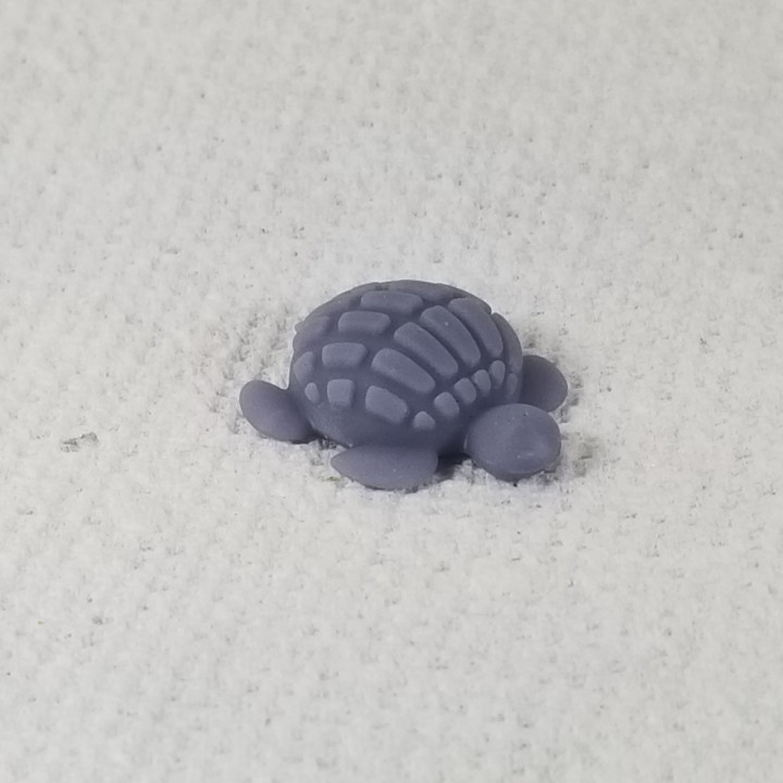 3D Printable Concha Tortuga (Turtle-shaped shell-bread) by Clay Rade