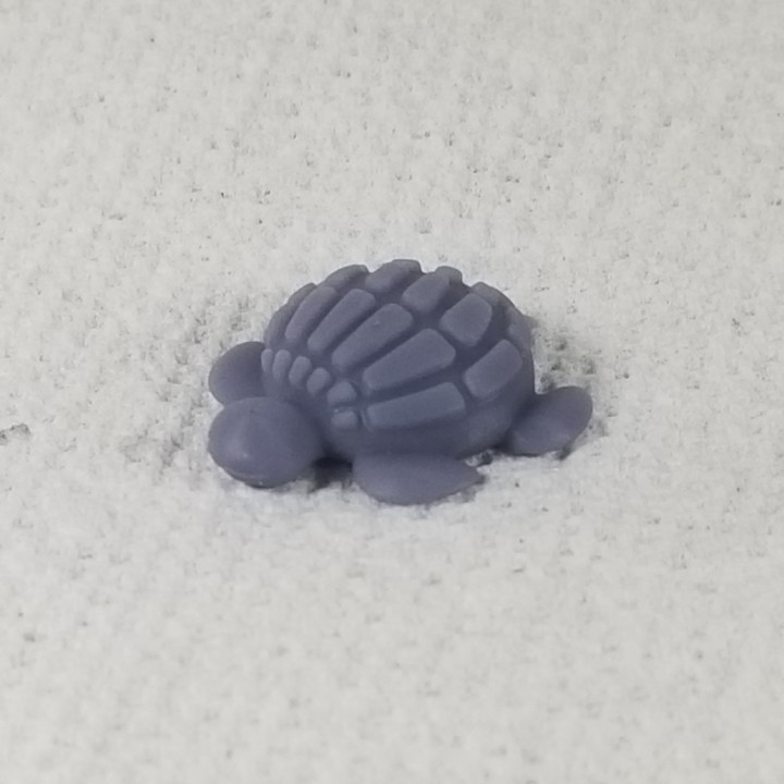 3D Printable Concha Tortuga (Turtle-shaped shell-bread) by Clay Rade