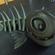 3D Printable FLEXI PRINT-IN-PLACE FISH by Flexi Factory