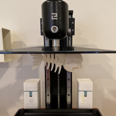 3D Printable FLEXI PRINT-IN-PLACE FISH by Flexi Factory