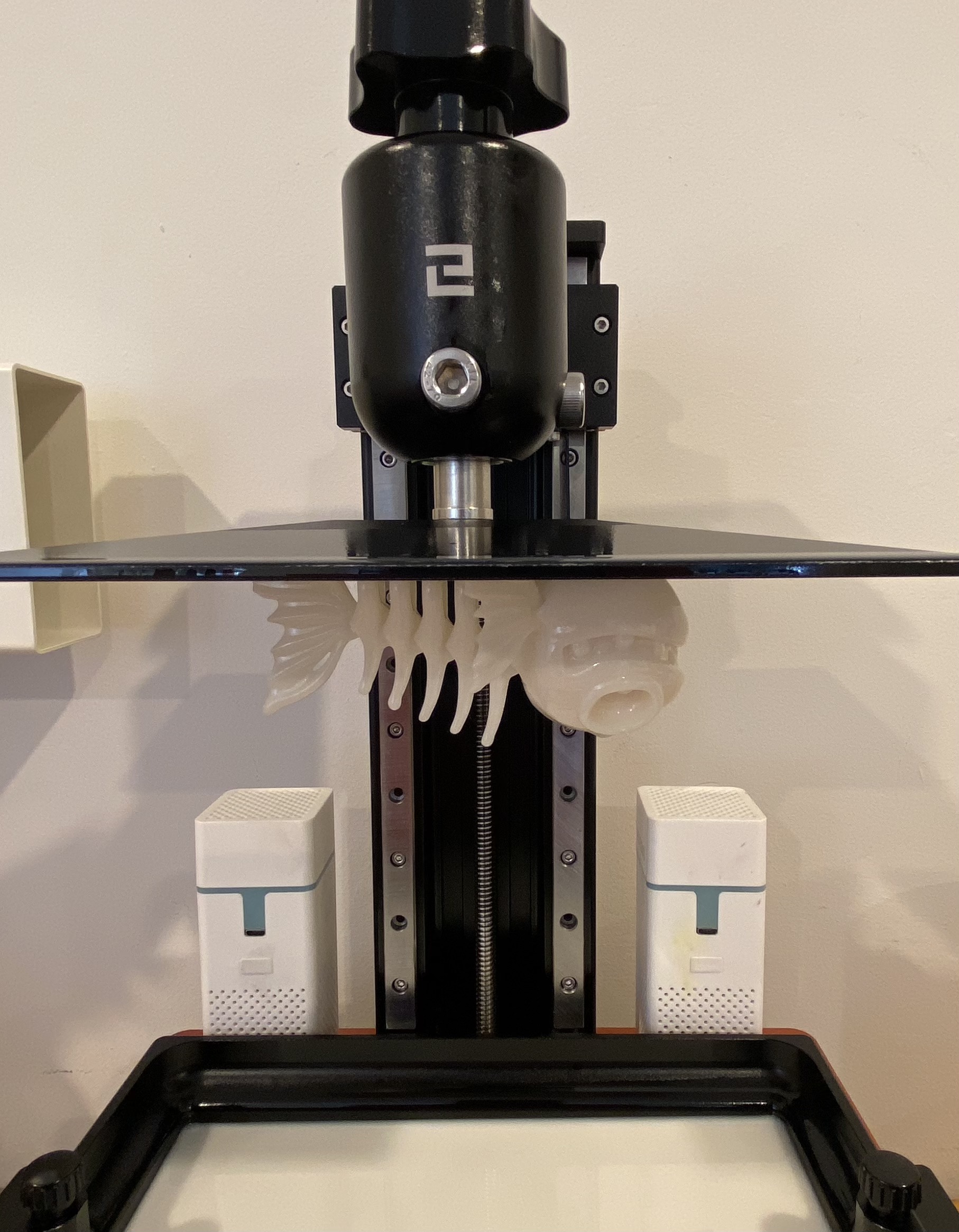 3D Printable FLEXI PRINT-IN-PLACE FISH by Flexi Factory