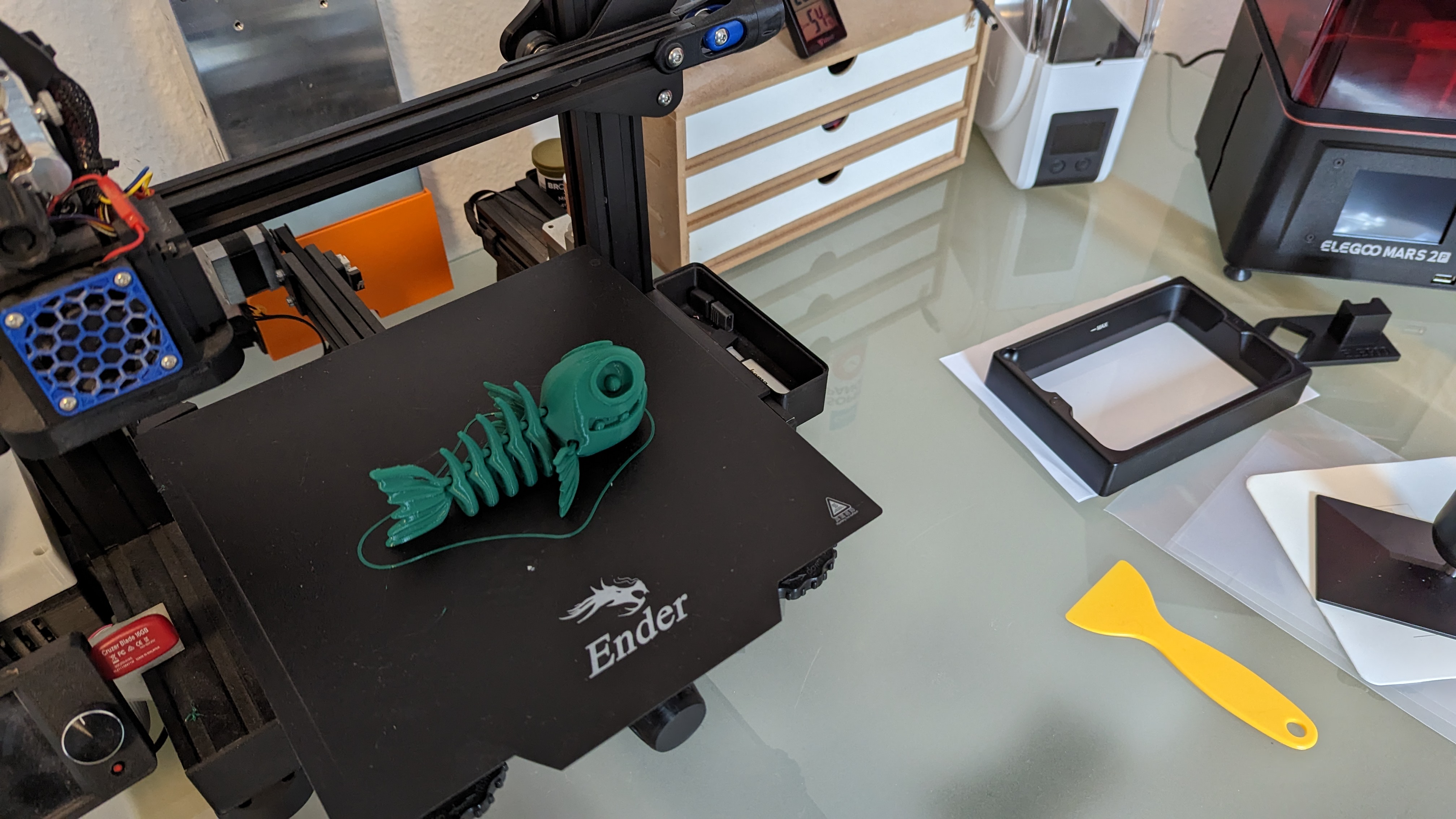 3D Printable FLEXI PRINT-IN-PLACE FISH by Flexi Factory
