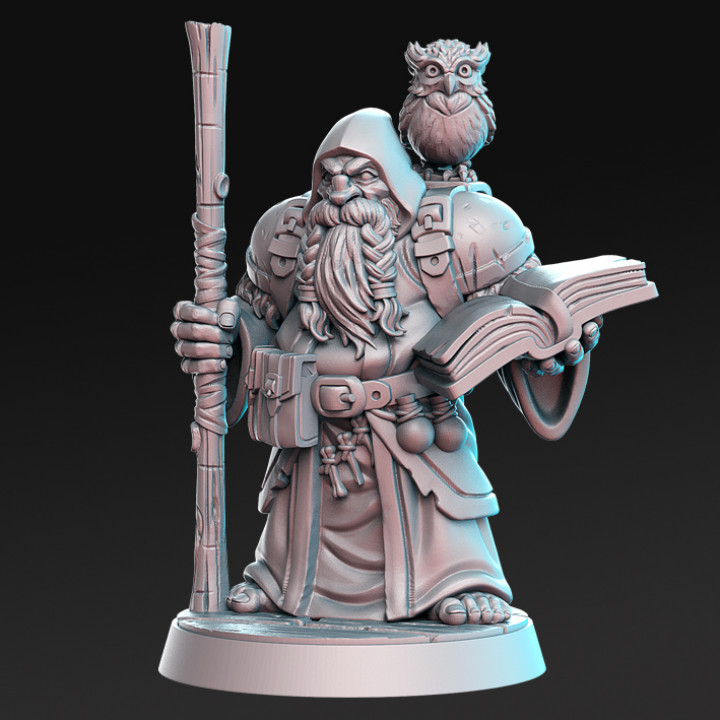 3D Printable Dramnir - Dwarf Wizard with owl - 32mm - DnD by RN Estudio