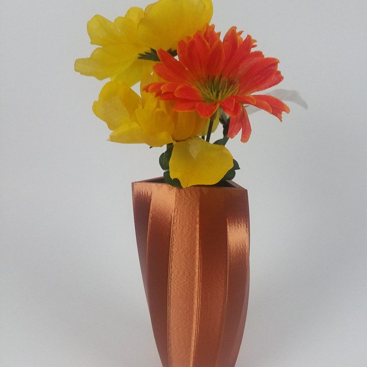 3D Printable tri-shaped vase by Ohioteentech
