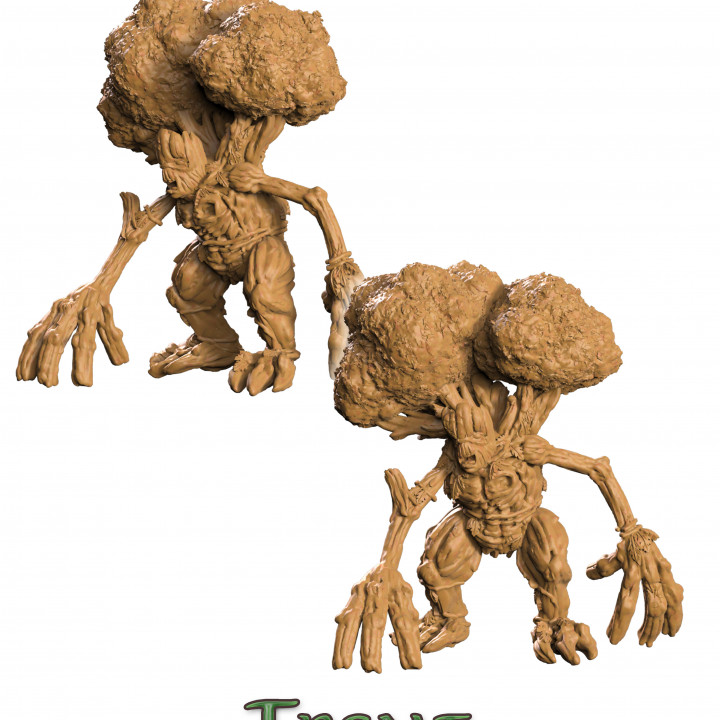 3D Printable Trent by Crosslances