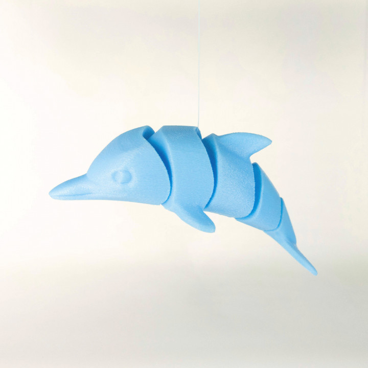 3D Printable Artic Dolphin by Ryan Huang