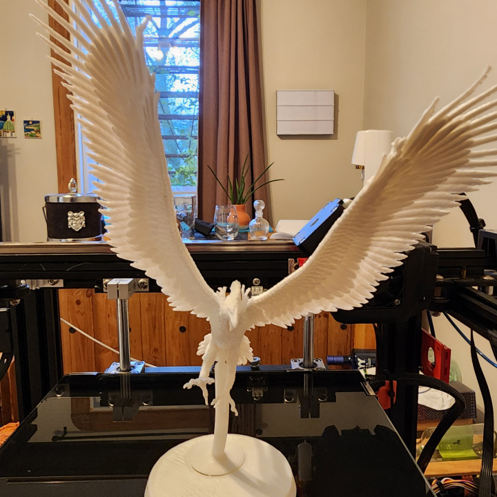 3D Print of Cursed Roc by christianfernandez3