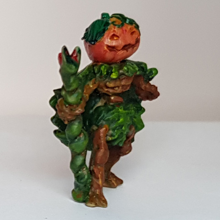 3D Printable Gourd leshy by Vox Inaudita