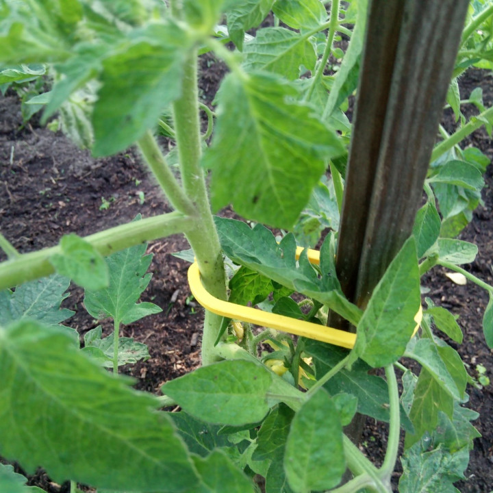 3D Printable Tomato clips by Pan Wiadro