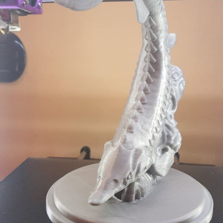 3D Printable Strugeon fishing trophy by Davide Barba