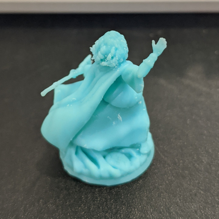 3D Printable Aileen, the Celtic Wizard by Twin Goddess Miniatures