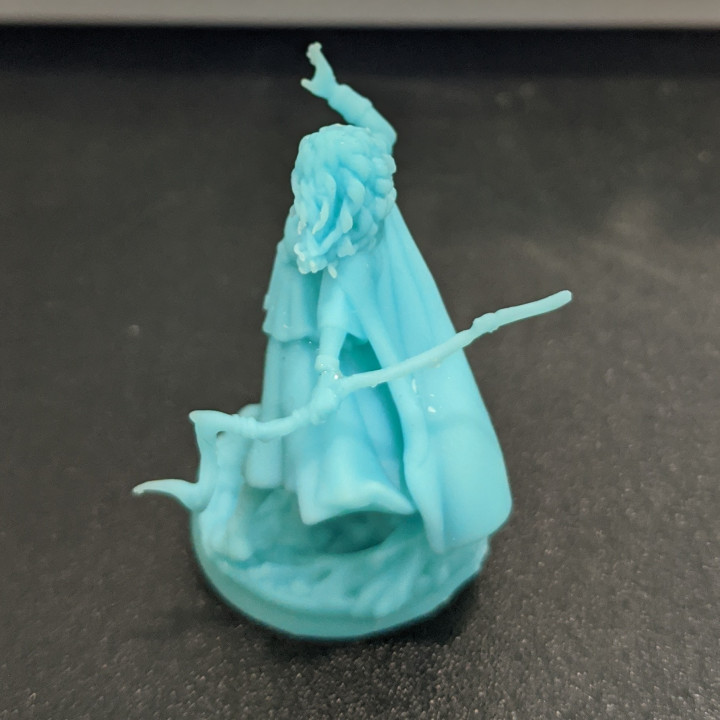 3D Printable Aileen, the Celtic Wizard by Twin Goddess Miniatures