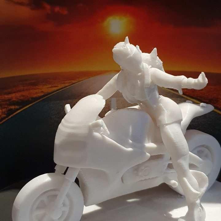 3D Printable FU Biker babe by Nick bolton