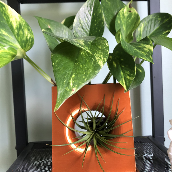 3D Printable Cut-out Planter by Madison Greco