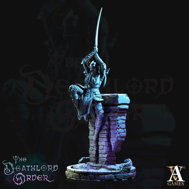 3D Printable The Deathlord Order Bundle by Archvillain Games