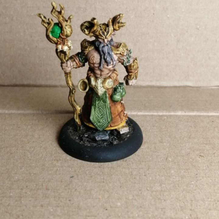3D Print of Aerlin - Druid - 32mm - DnD - by Hidoi