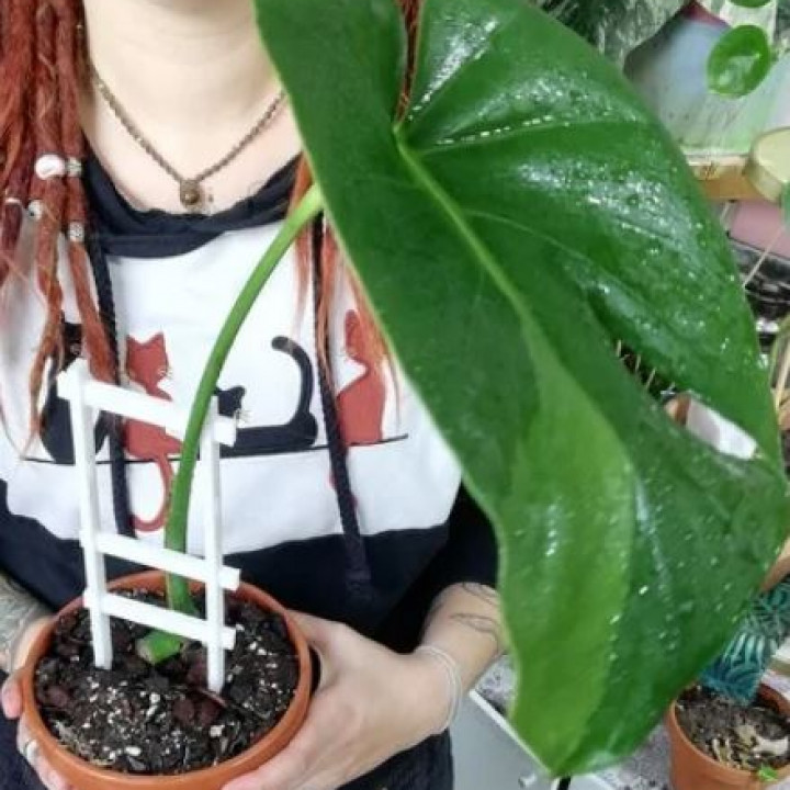 3D Printable Modular Plant rest / Plant support by Martikke