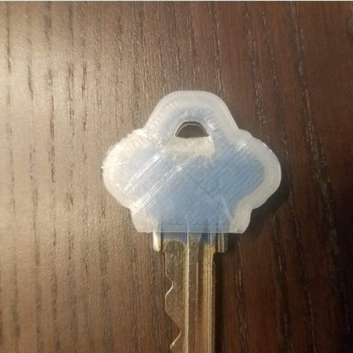 3D Printable Key ID by cu de vaca