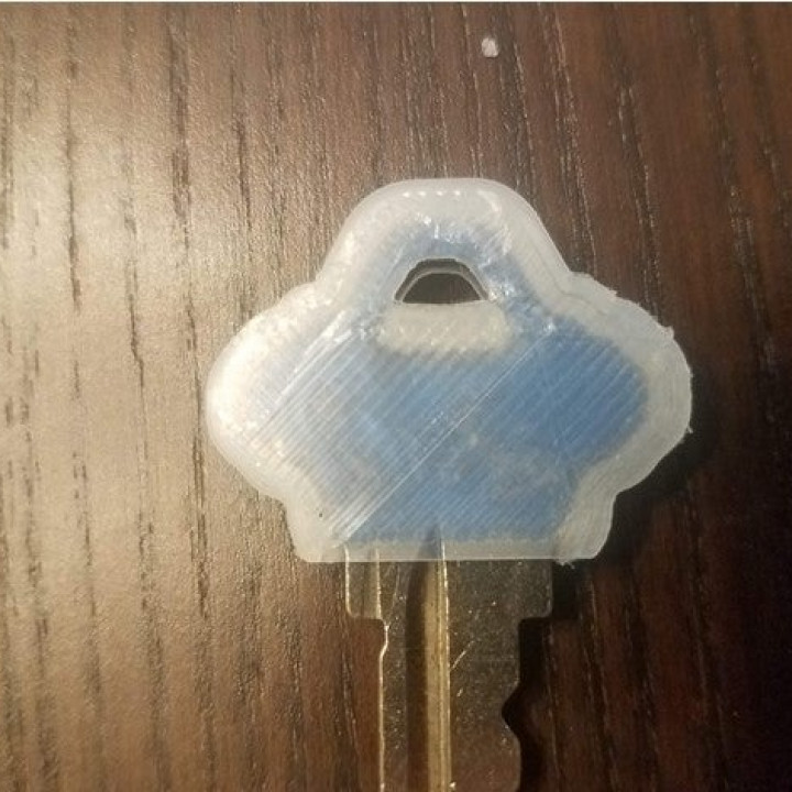 3D Printable Key ID by cu de vaca