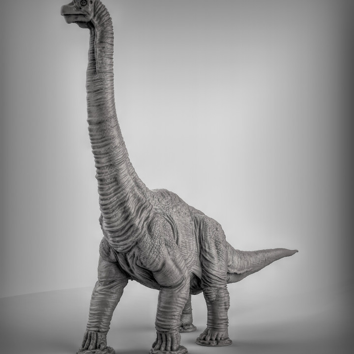 3D Printable Brachiosaurus by Duncan Shadow